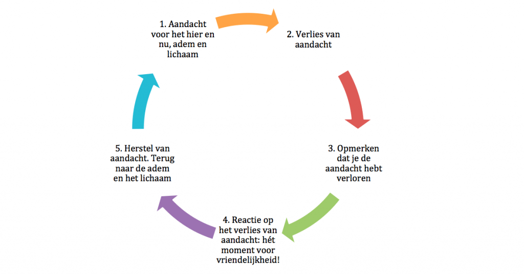 De mindfulness cyclus en de stress cyclus - Academie voor Openbewustzijn